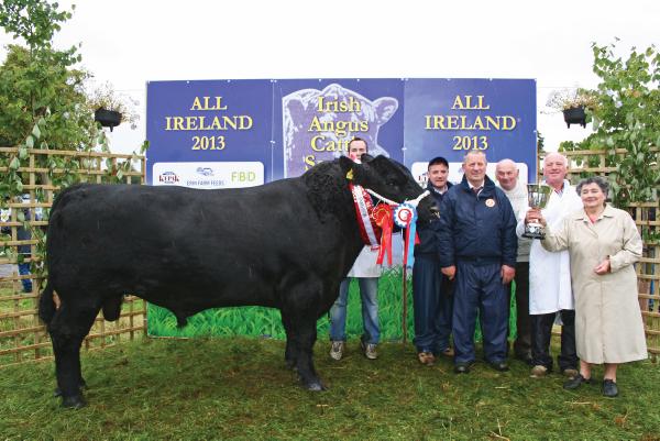 All-Ireland Angus titles for Roscommon and Leitrim