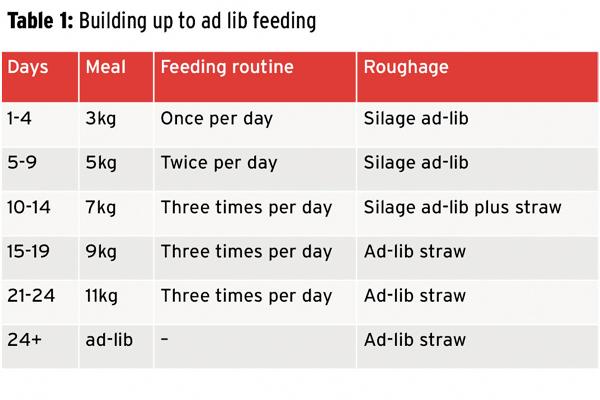 Winter ad-lib feeding- top tips - Premium