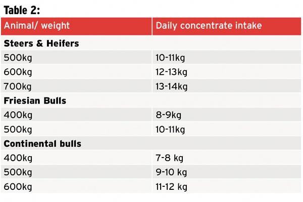 Winter ad-lib feeding- top tips - Premium