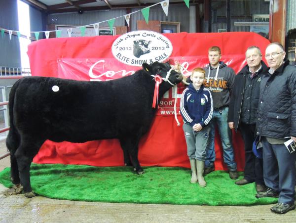 Sligo-bred female champion fetches top of €6,600 18 December 2013 Premium