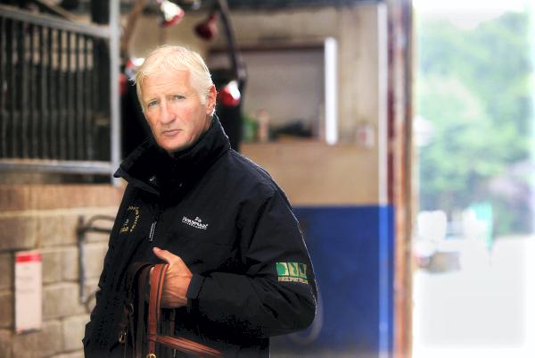 My Horse World: Robert Splaine - Premium