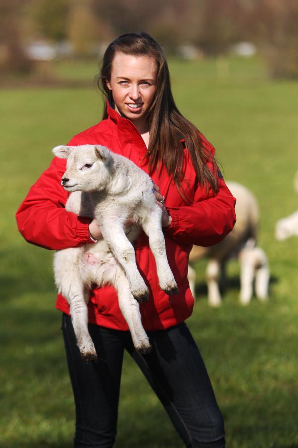 My Farming Week: Zoe Payne Cappanargid, Rathangan Co. Kildare. - Free My Farming Week: Zoe Payne Cappanargid, Rathangan Co. Kildare. - Free