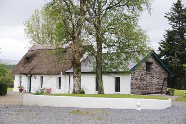 British interest in property in Ireland blossoms - Premium