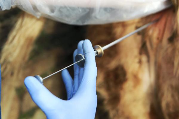 Farmer focus: Pat Donnellan, Galway & Jim Hogan, Carlow - Premium