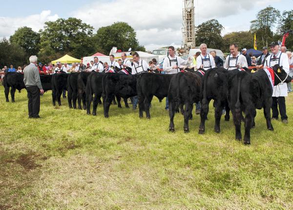 In Pictures - Iverk Agricultural Show - Free