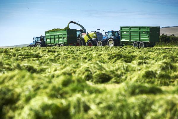 Demand for Teagasc Green Cert course triples - Free