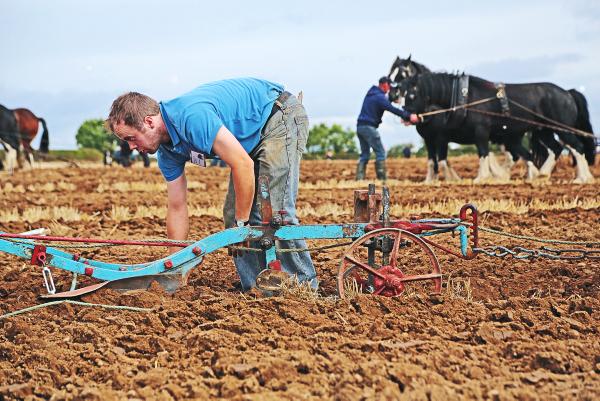 In Pictures - Ploughing Championships 2014 24 September 2014 Free