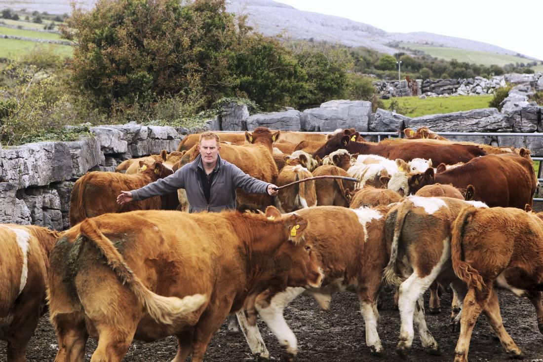 In pictures: Irish Farmers Journal front pages October- November 2014 ...