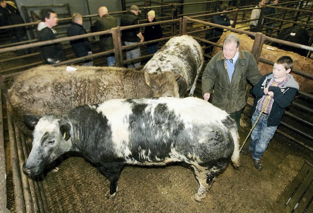 Good demand for finished stock in Rathfriland - Premium