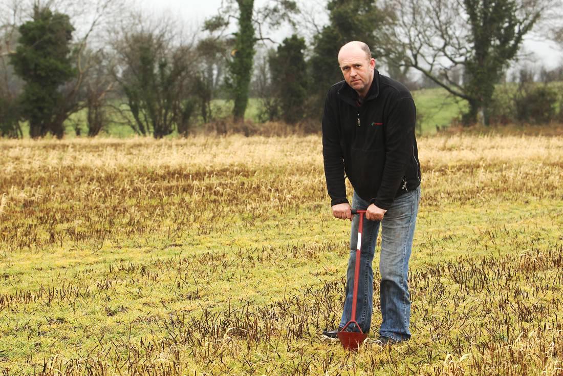 My Farming Week: Ivan Holden, Bagnalstown, Co Carlow - Free