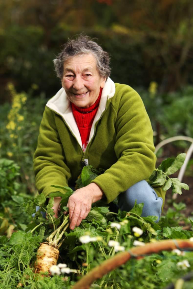 A new season in the garden - Premium