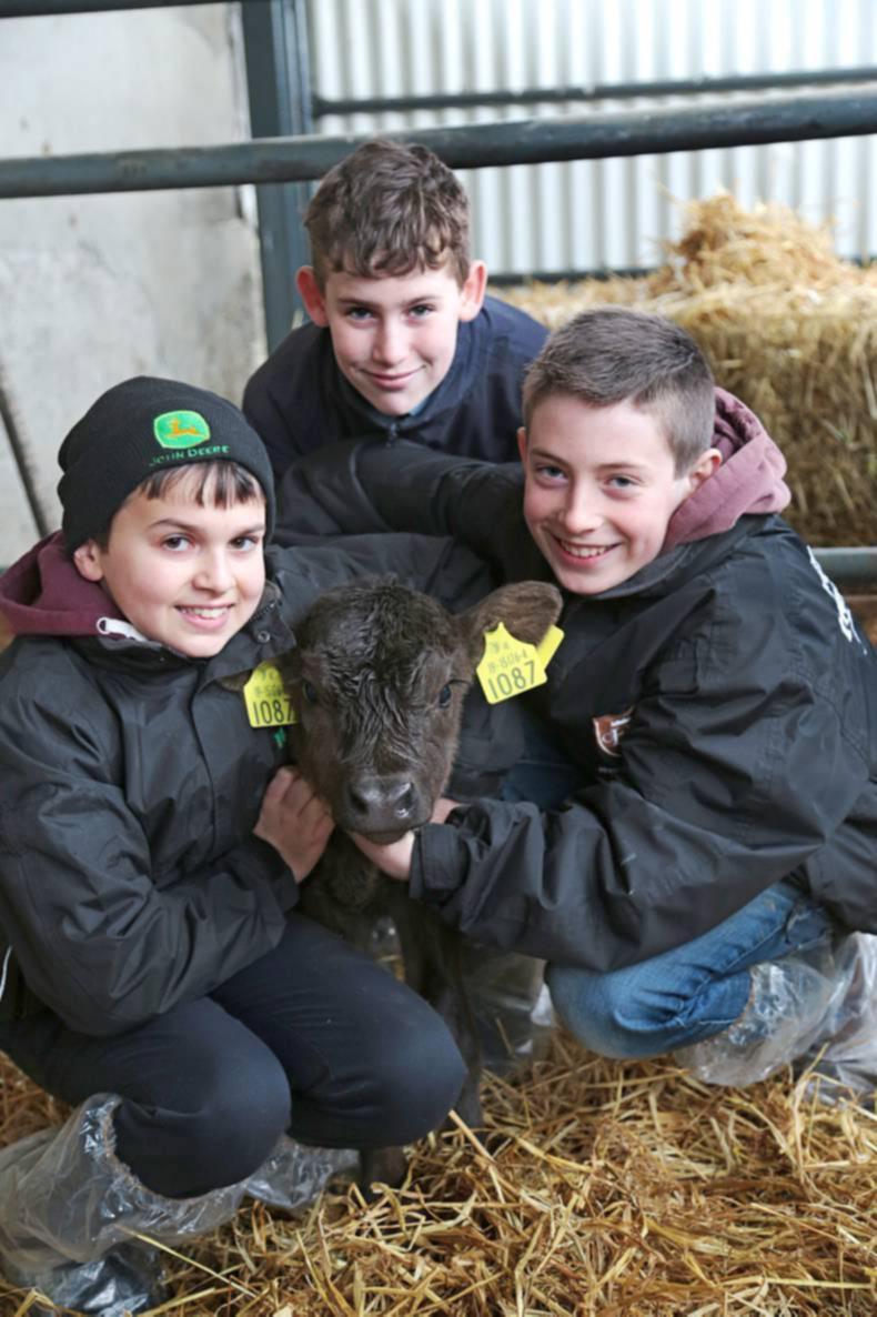 In pictures: Farming around the country - Free