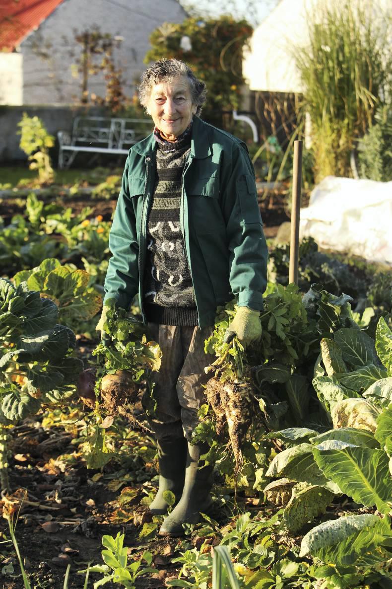 Turn to the garden with Lily Champ - Premium