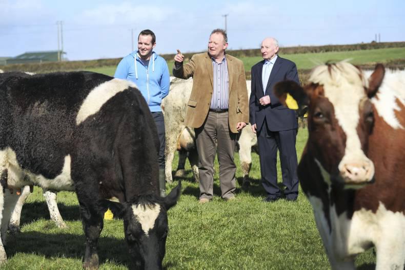 Award-winning Tipperary dairy farm to host farm walk - Free