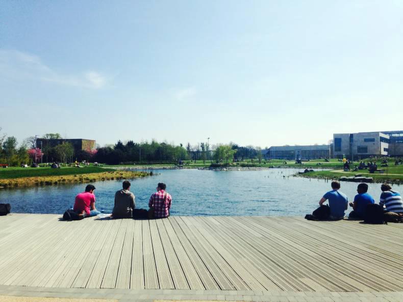 UCD Agriculture & Forestry placed in world's top 100 - Free