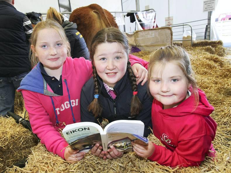 In pictures: RUAS Balmoral Show 2015 - Free