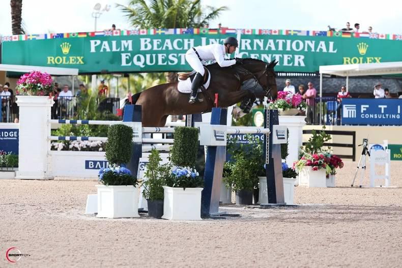 Advertorial - Tolan R: A Quality Stallion and One for the future - Premium