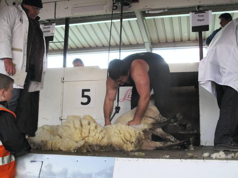 Welsh men dash Irish hopes in international shearing competitions - 30 ...