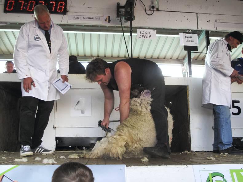 Welsh men dash Irish hopes in international shearing competitions - 30 ...
