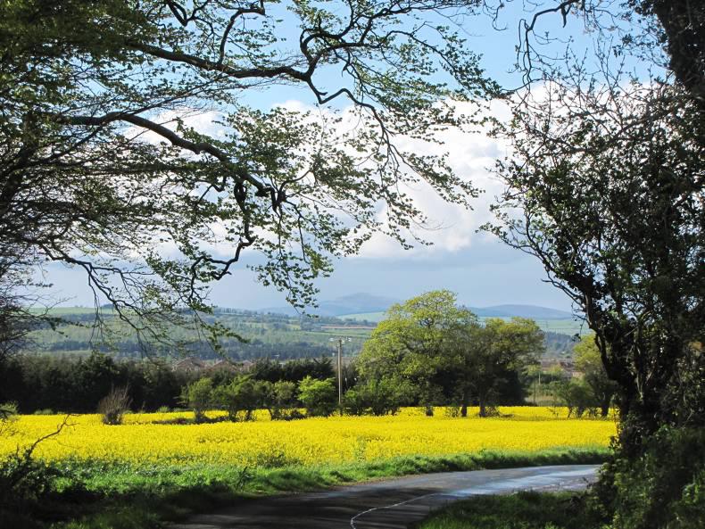 58 acres on the outskirts of Arklow