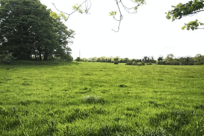 58 acres on the outskirts of Arklow - Premium