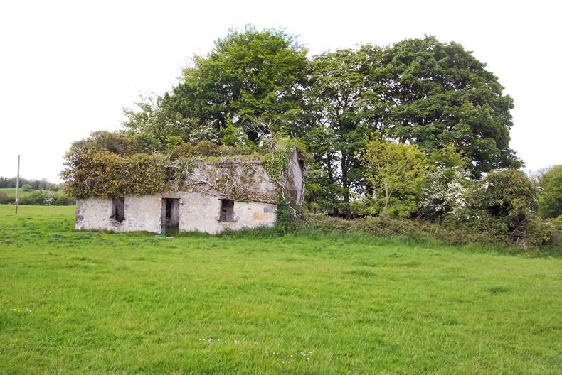 58 acres on the outskirts of Arklow - Premium