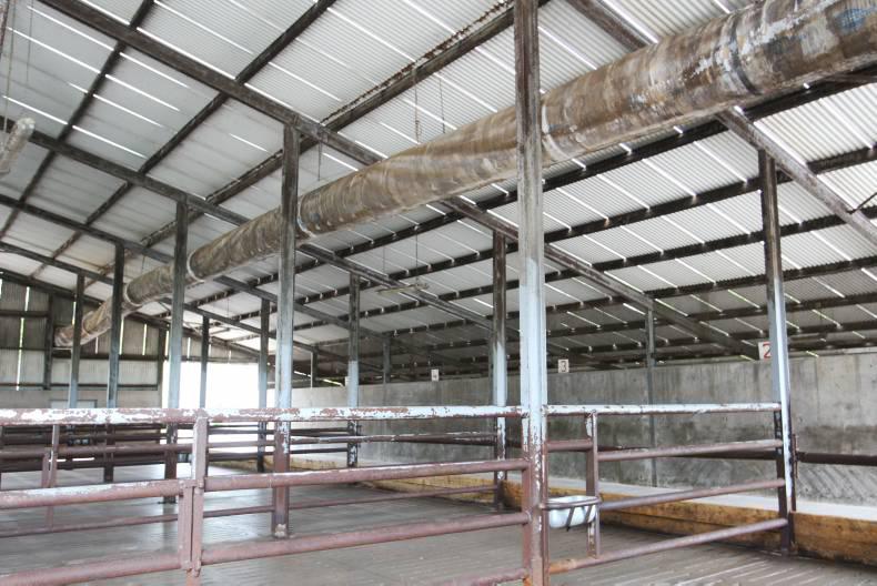 Forced ventilation in beef shed - Premium