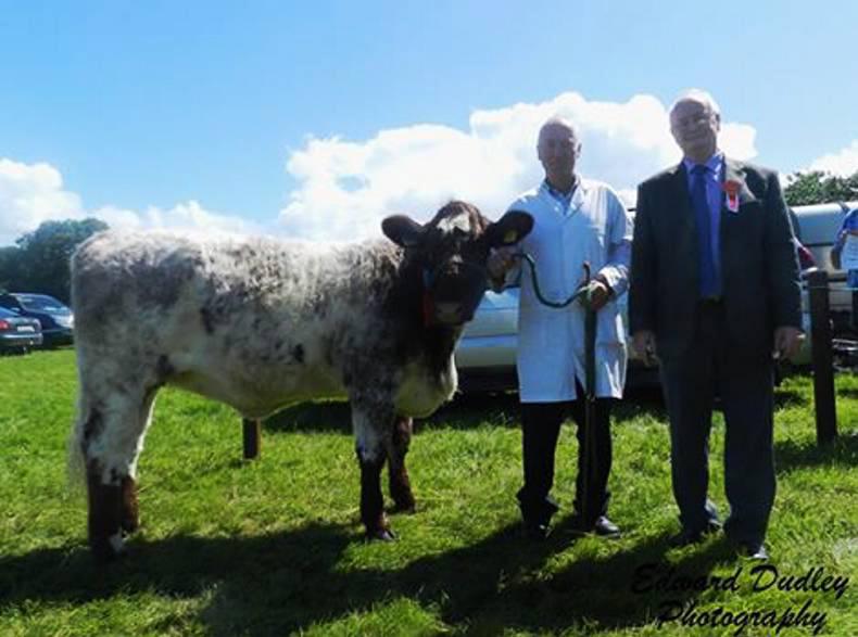 Herefords take centre stage at Nenagh Show - Free