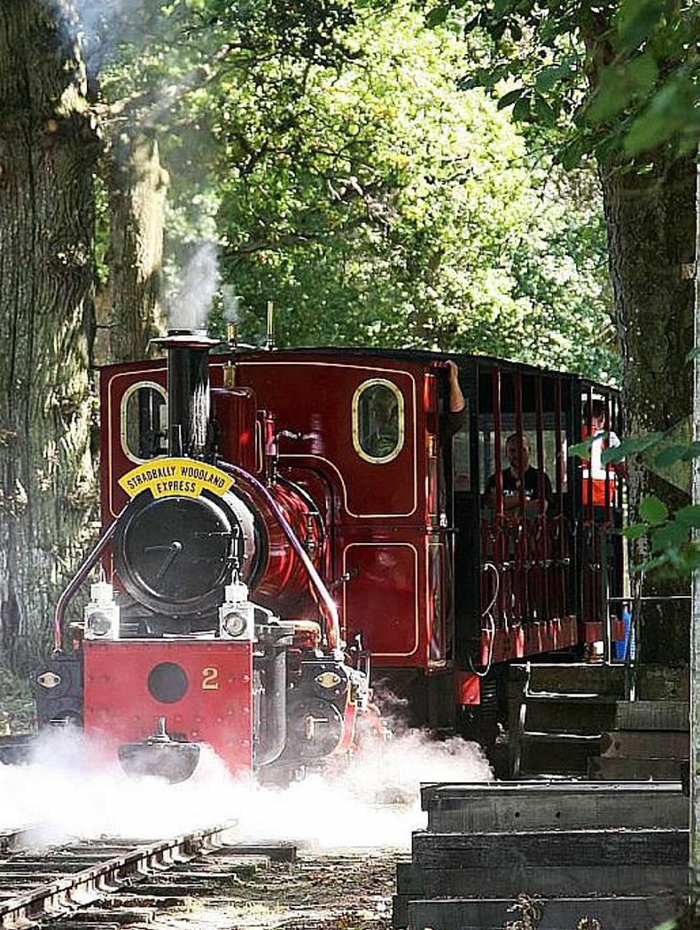 Celebrate National Heritage Week - Premium