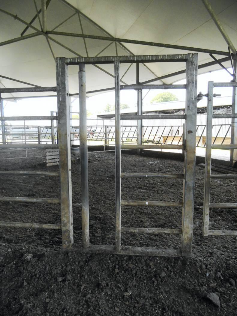 Safety first with British-designed roundhouse - Premium