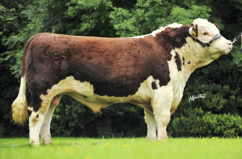 Dovea Genetics brings new initiatives to Ploughing 2015 - Free