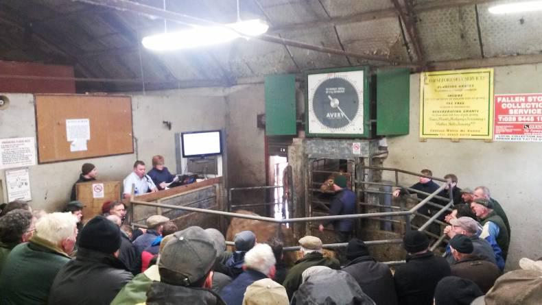 Good trade at Draperstown mart - Free