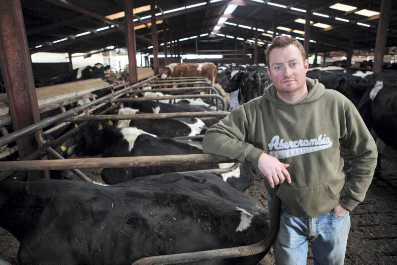 Farmer Focus: Rochford Family, Co Laois - Premium