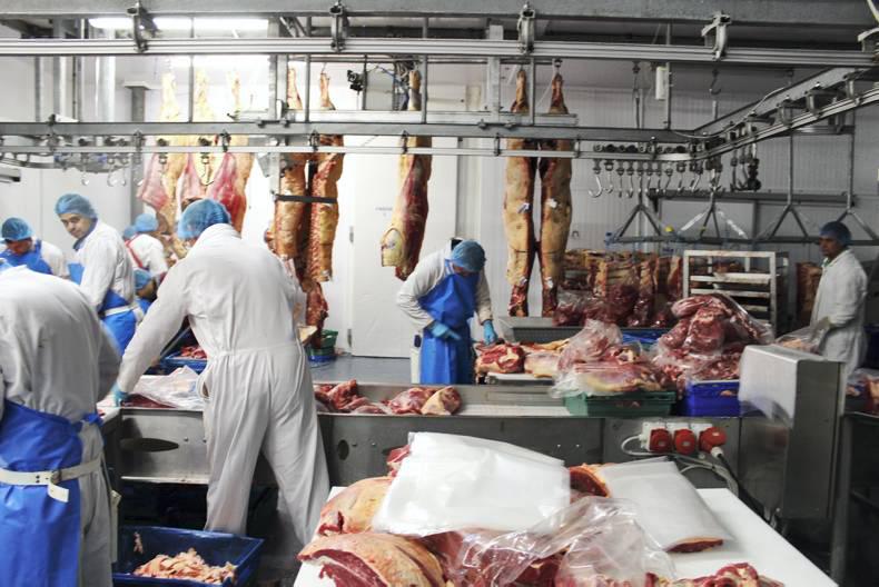 Small can work in meat processing - Premium