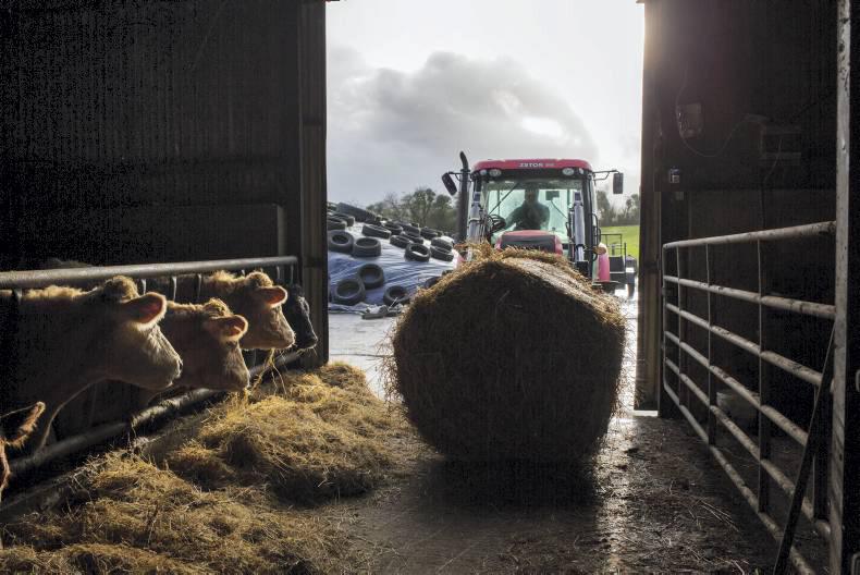 Bale netting that's good enough to eat - Premium