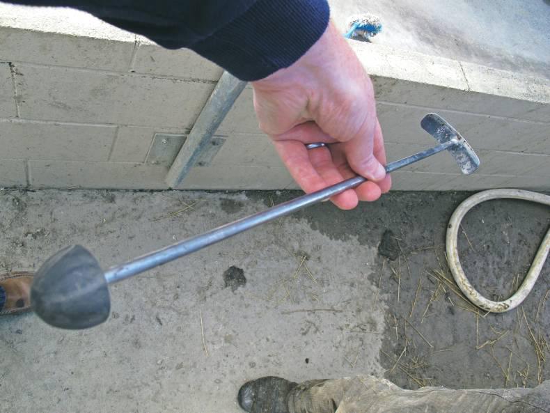 Early results from big fertility trial - Premium