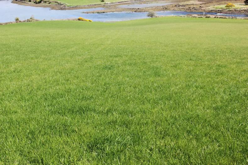 Counting the cost of the bad spring - Premium