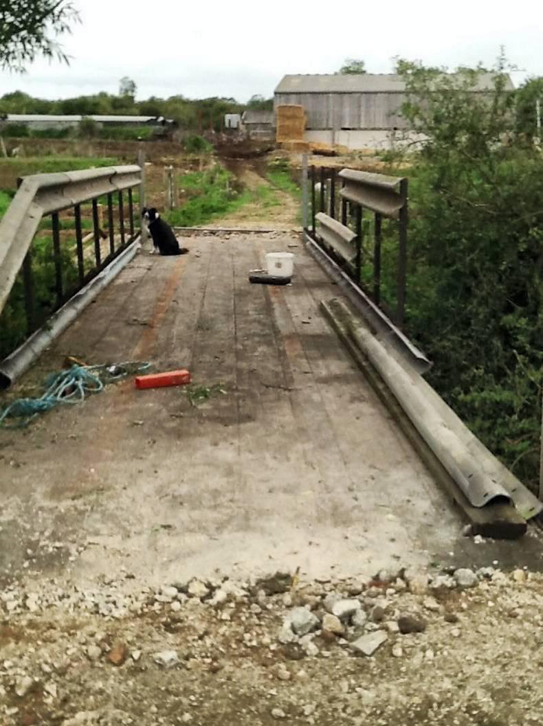 Farmer writes: view from over the water - Premium