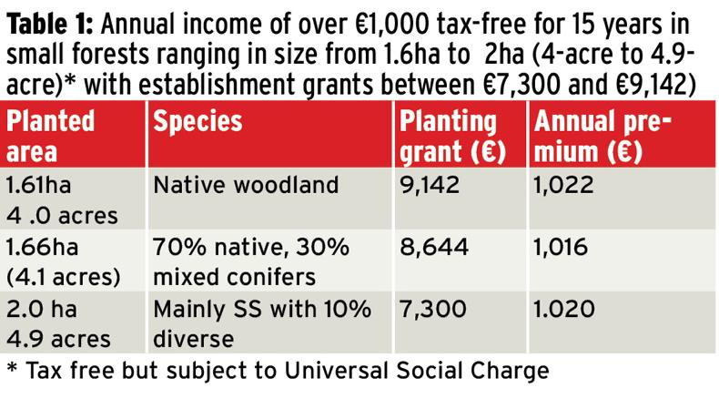 BENEFITS OF SMALL-SCALE FORESTRY - Premium