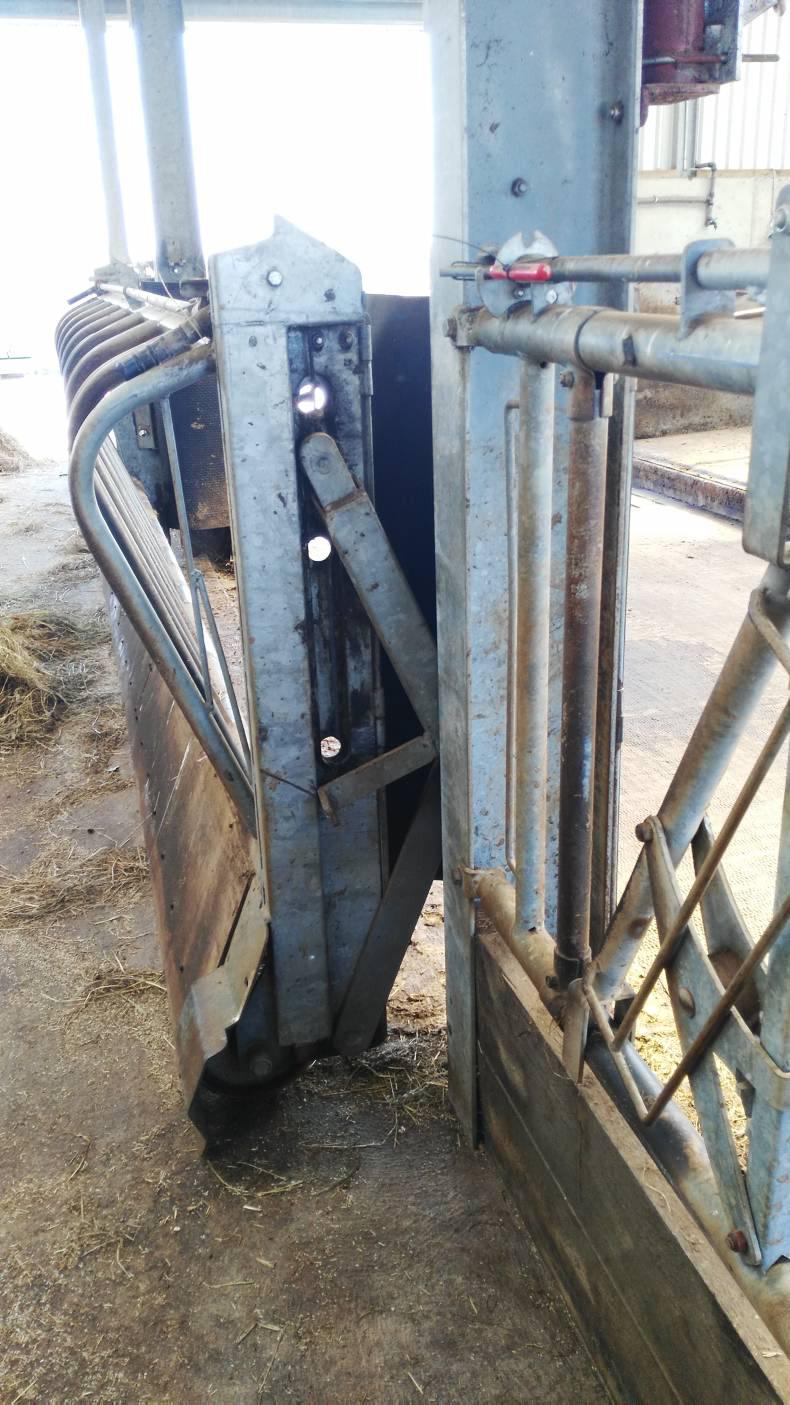 Feed barriers under the spot light - Premium