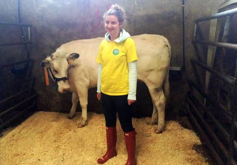 Farming family raffles heifer and calf for Kerry hospice - Free