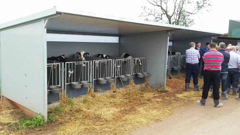 British dairying in recovery mode - Premium