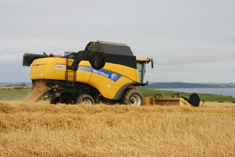 Is skinning a spec too far in malting barley? - Premium