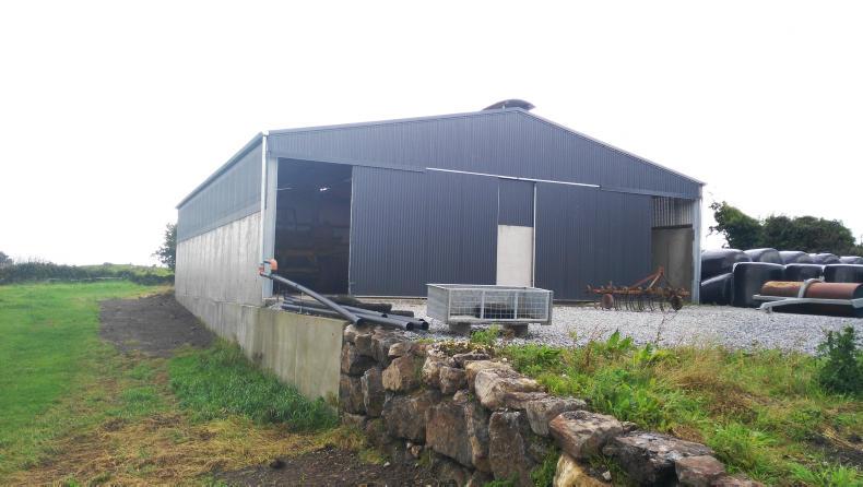 Watch: tidy four-bay beef shed in Galway - Premium