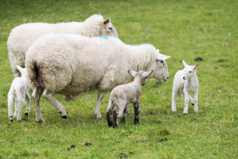 Is your breeding policy as good as it could be?