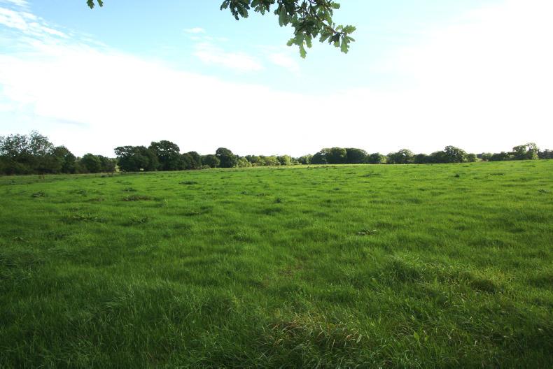 Spoilt for choice in Longford and Westmeath - Premium