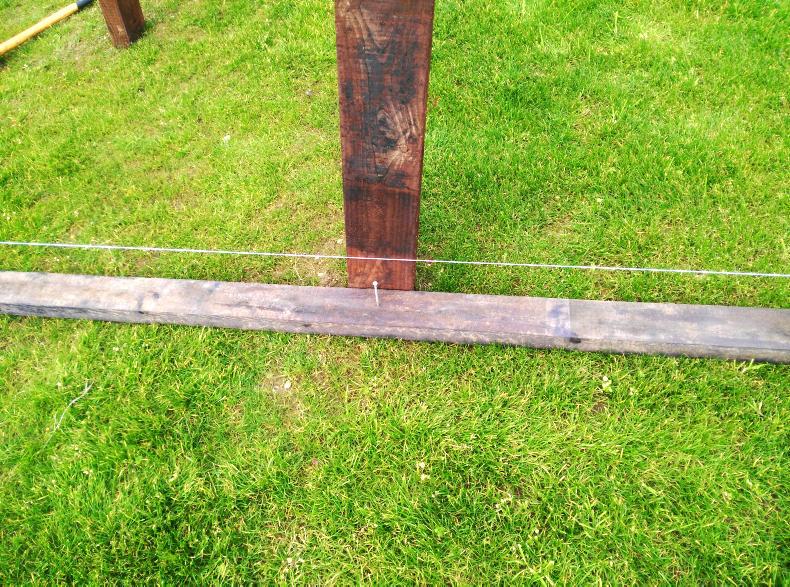 Watch: How to erect a timber post and rail fencing - 26 October 2016 ...