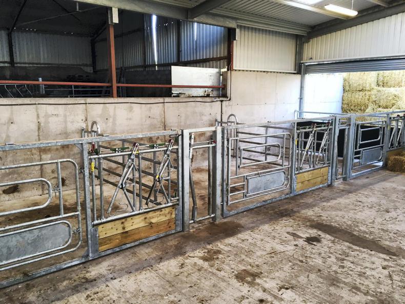 Preparing for calving in winter