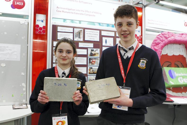 BT Young Scientists as innovative as ever - Premium