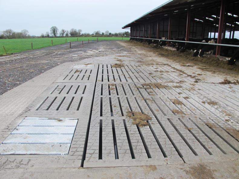 Watch: new cubicle shed in Tipperary - Premium